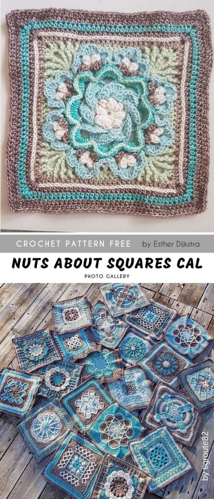 Nuts Crochet Squares CAL FREE