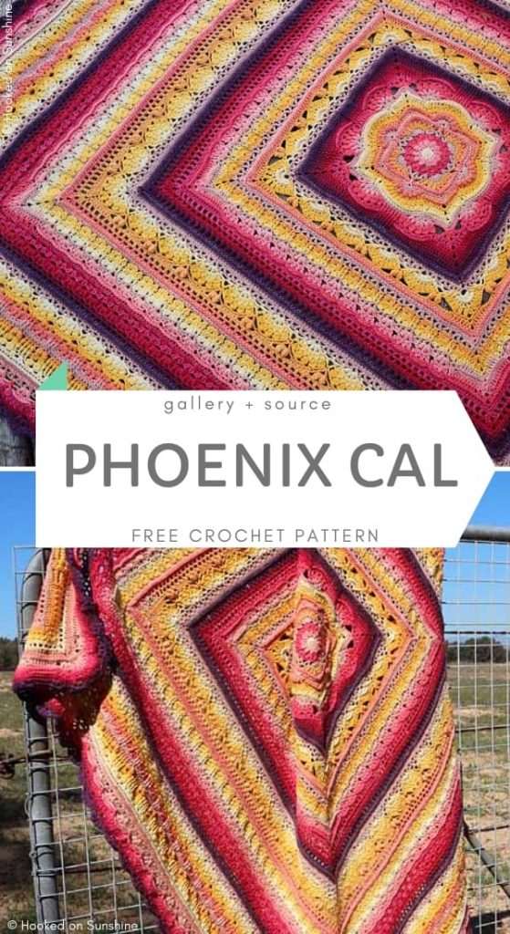 Stunning Crochet Afghan CALs For You to Try - Pattern Center