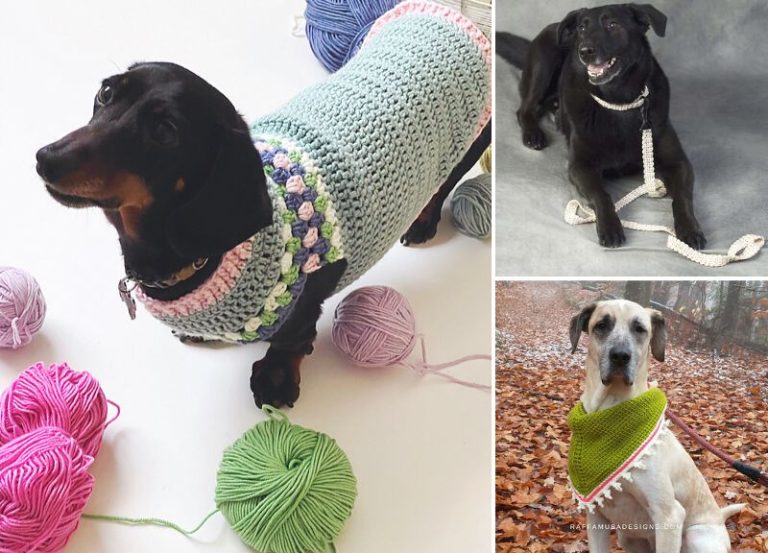 Crochet Dog Sweaters and Accessories
