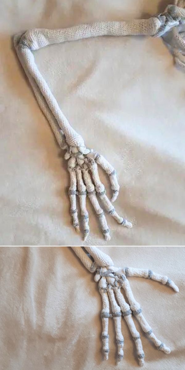 Anatomical Crochet Body Parts Patterns for Studying Biology