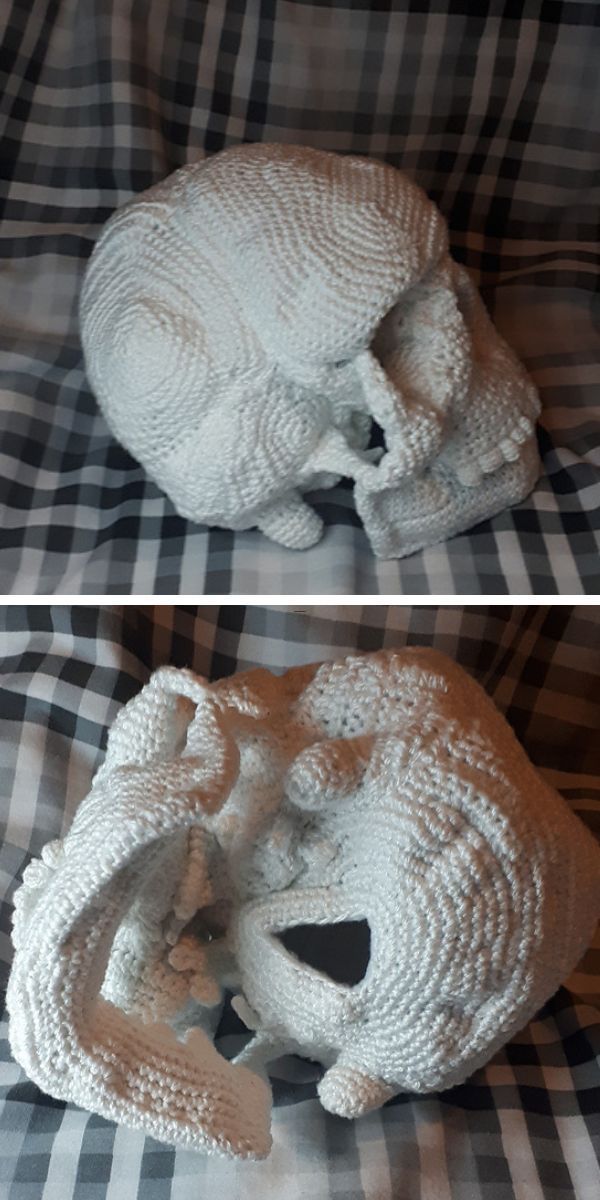12 Anatomical Crochet Body Parts Patterns for Studying Biology