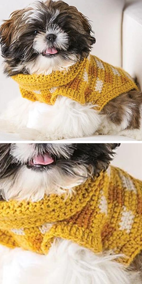 Crochet Dog Sweaters and Accessories