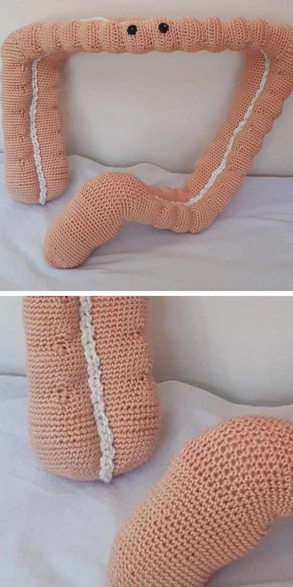Anatomical Crochet Body Parts Patterns for Studying Biology