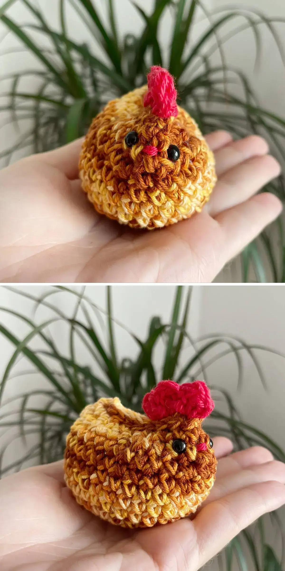 24 Cute Crochet Chicken Patterns to Create Amazing Amigurumi