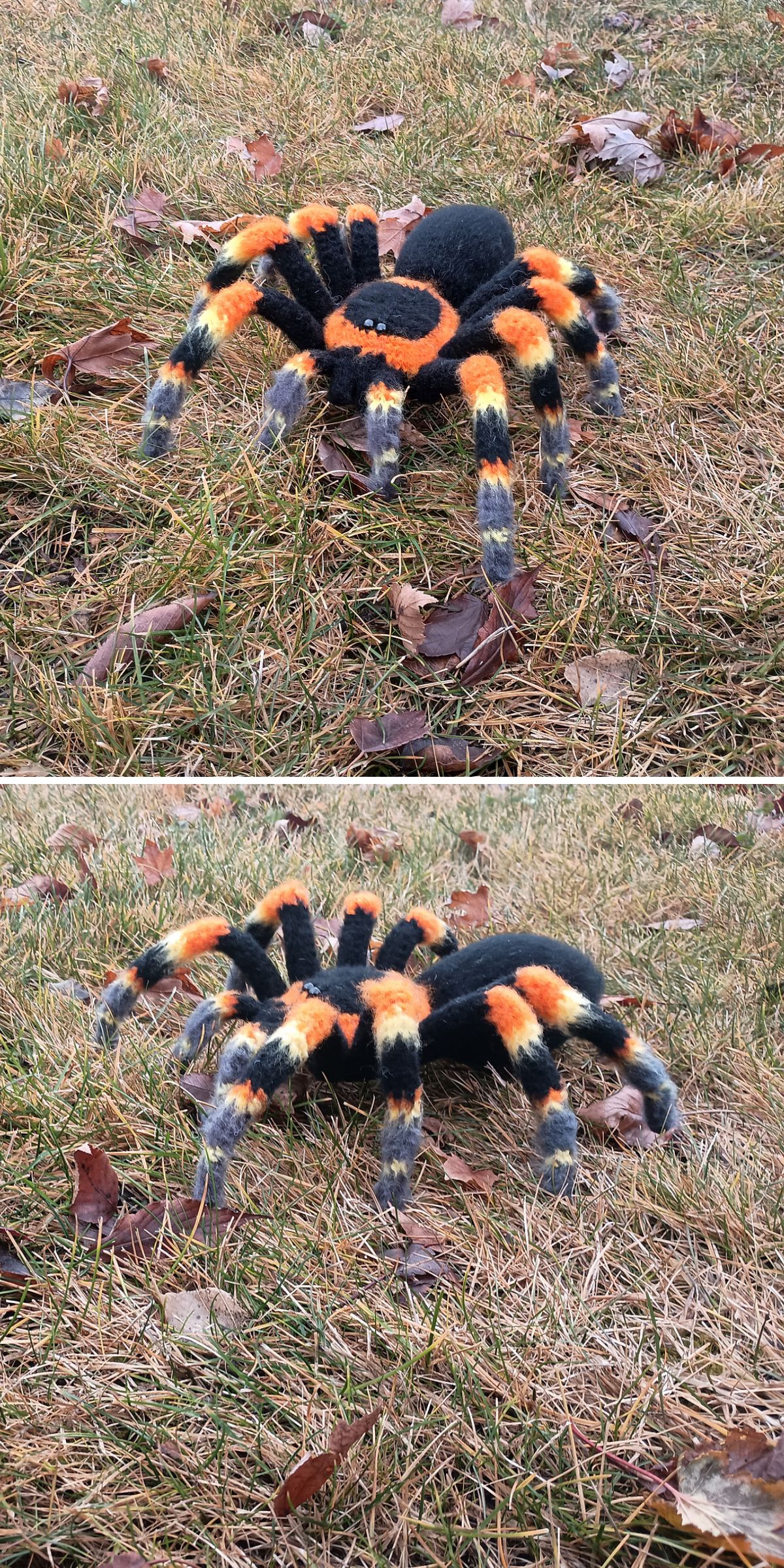 26 Fun and Cute Crochet Insects Amigurumi with Free Patterns