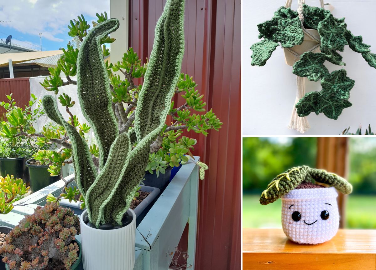 26 Free Crochet Plant Patterns for a Touch of Greenery Anywhere