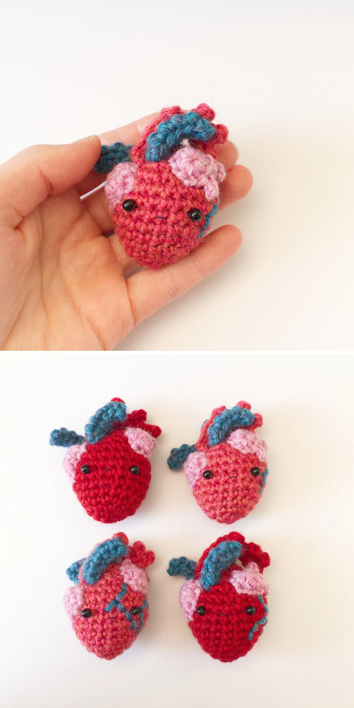 12 Anatomical Crochet Body Parts Patterns for Studying Biology