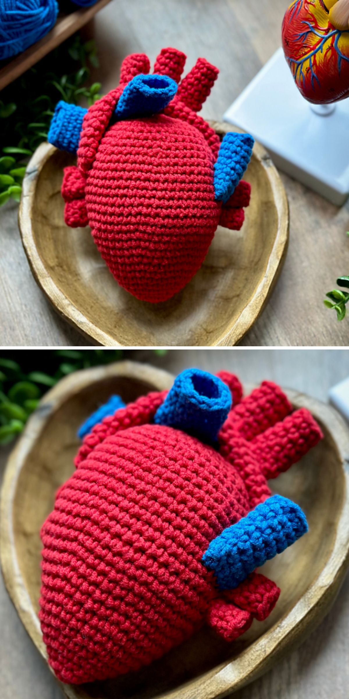 12 Anatomical Crochet Body Parts Patterns for Studying Biology