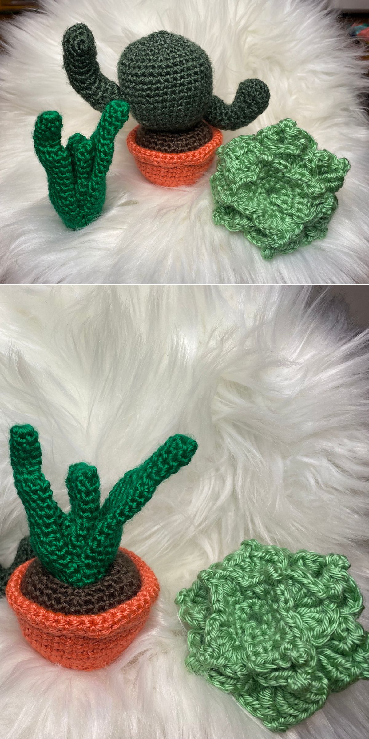 26 Free Crochet Plant Patterns for a Touch of Greenery Anywhere